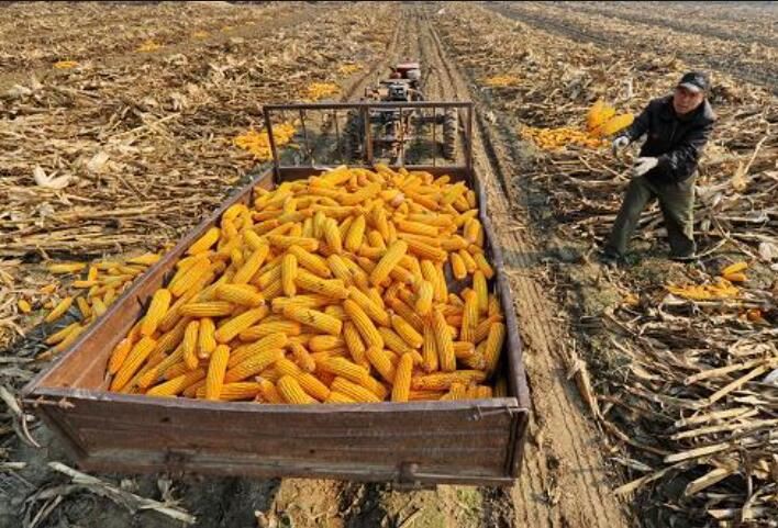 China Farm Tractor, Farm Implements, Small Farm Machinery Suppliers ...